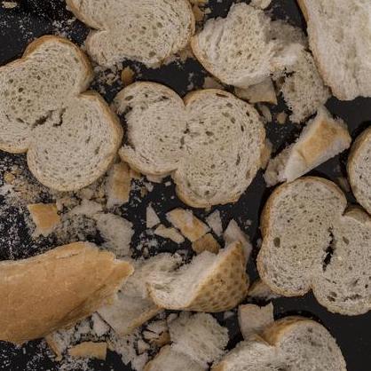 Sustainable Scraps: Turning Food Into Fertiliser – JACdigital